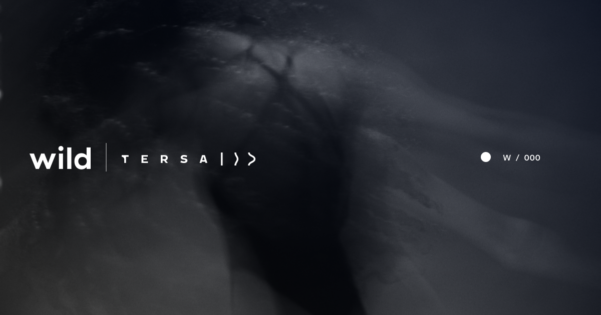 Tersa | Brand Design and Web Experience